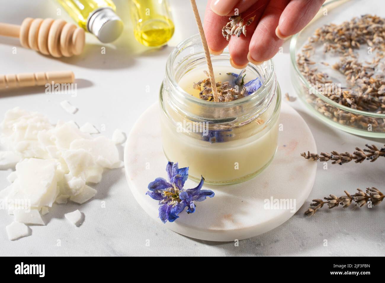 Wax flowers diy hi-res stock photography and images - Alamy