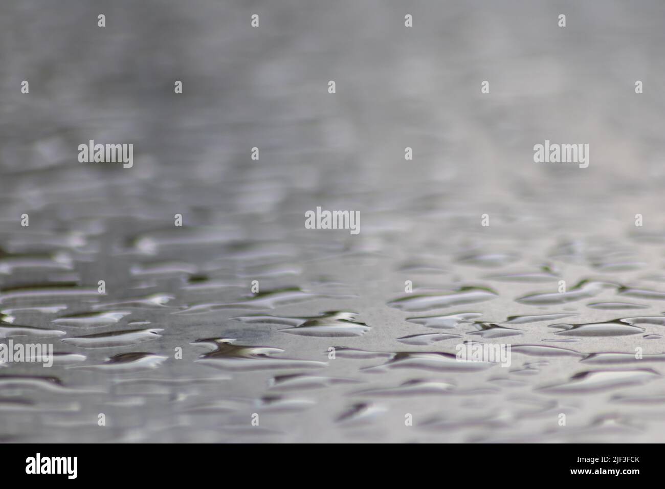 Many raindrops on a table surface on rainy day show pearls of water as ...