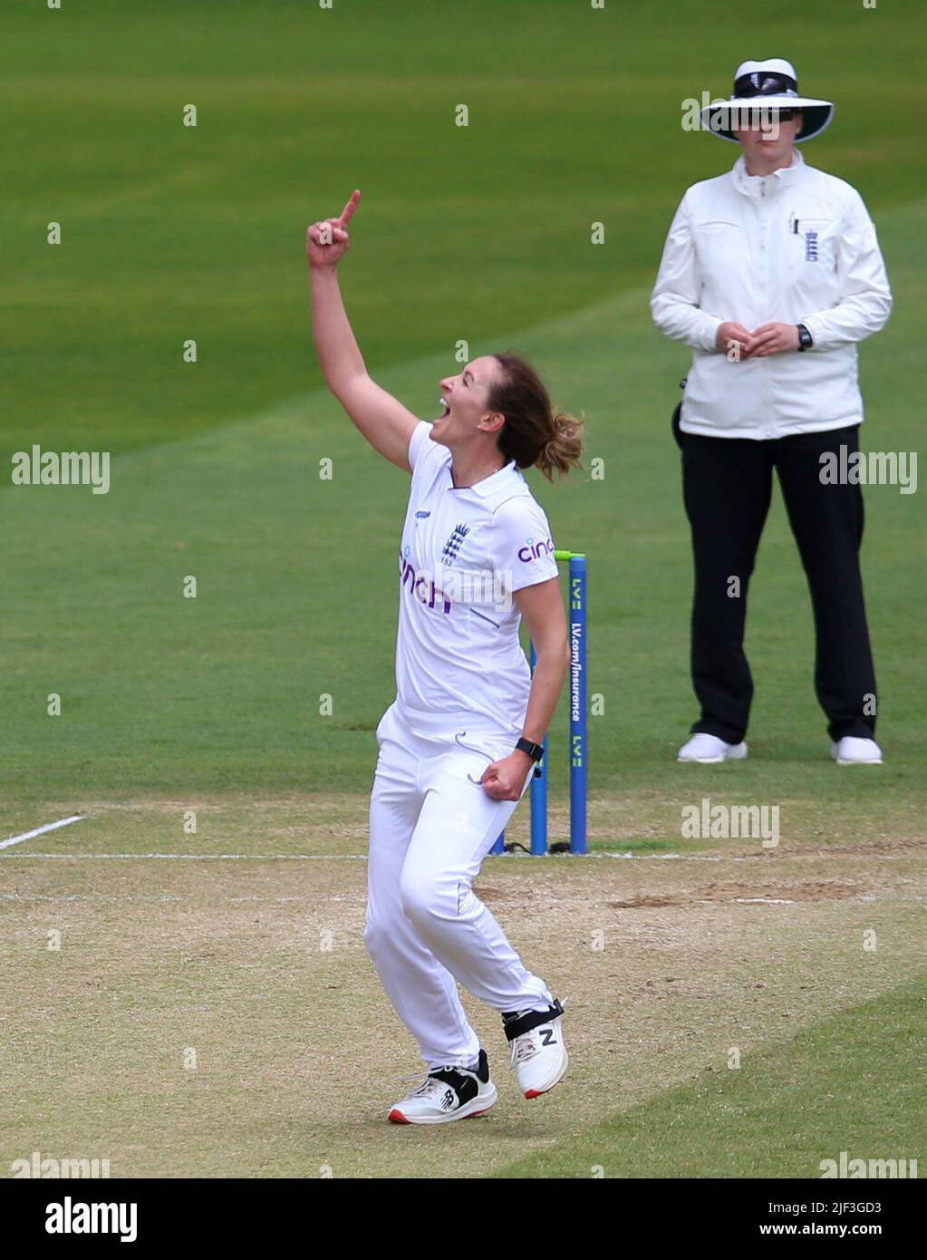 Wicket south africas andrie steyn hi-res stock photography and images ...