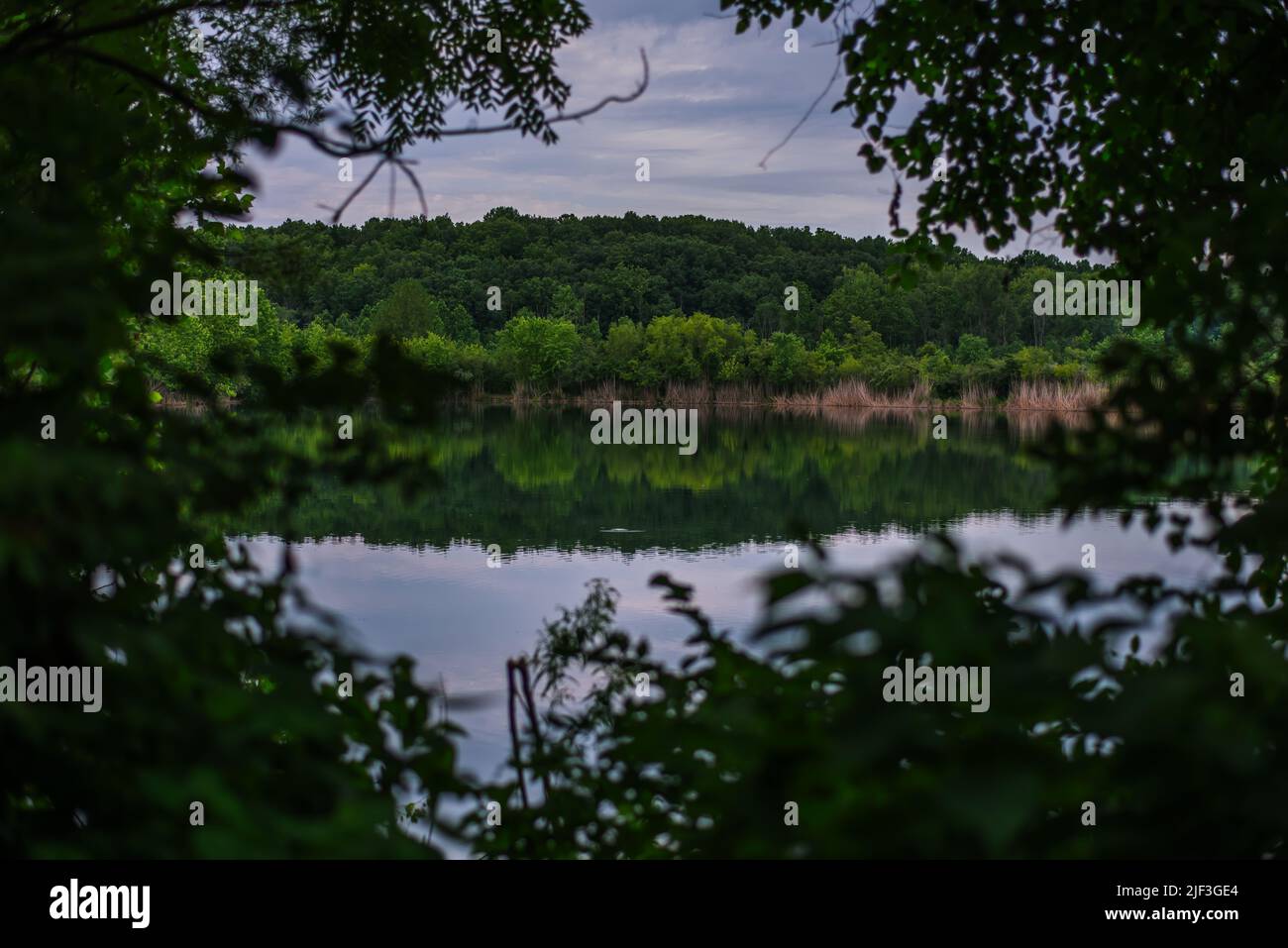 A lake surrounded by a forest from a frame bordered by trees Stock ...
