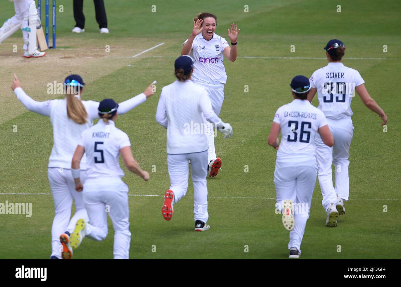 Taking wicket south africas andrie steyn hi-res stock photography and ...