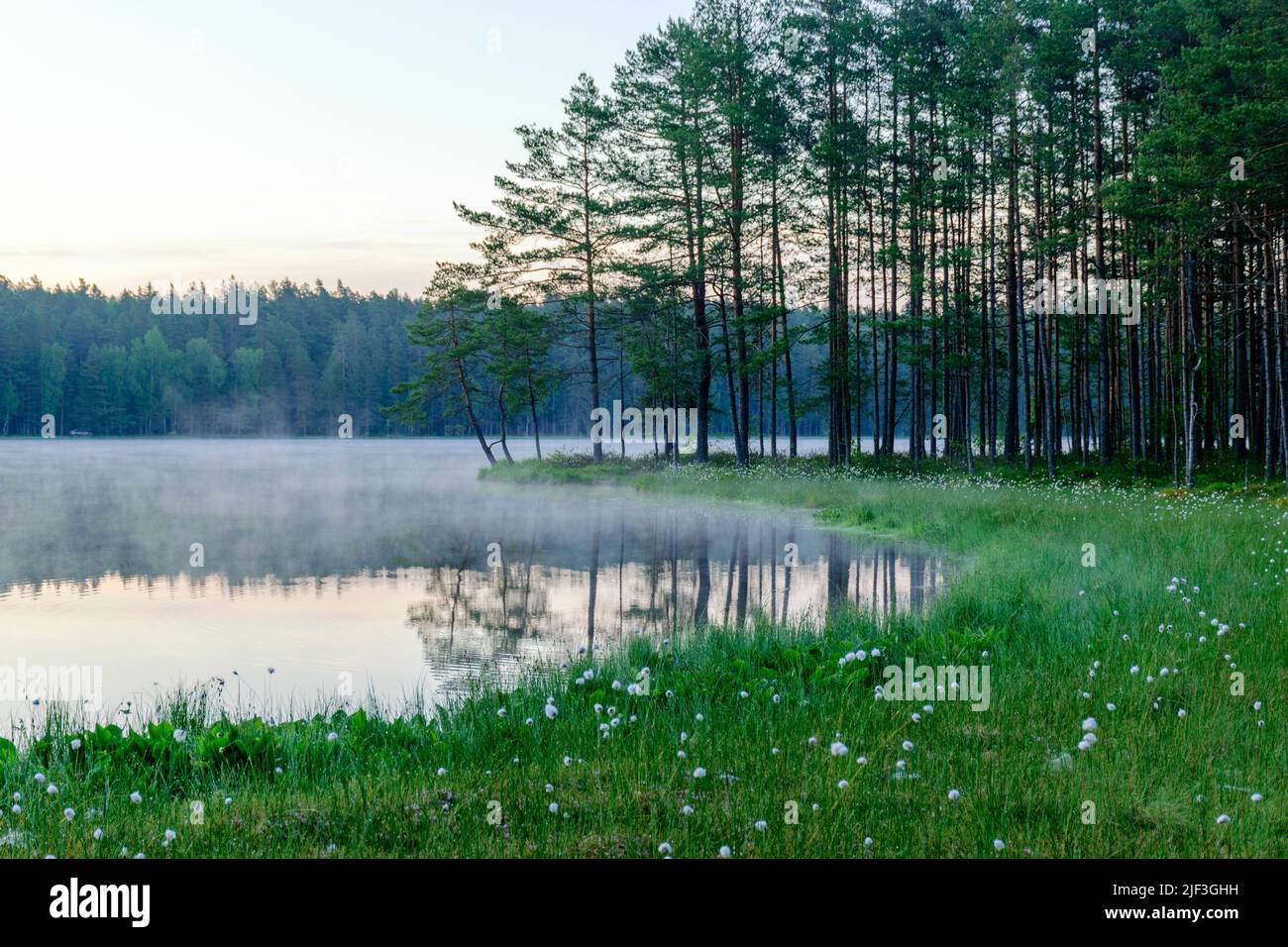 happy summer morning landscape by the lake, tree reflections in calm ...