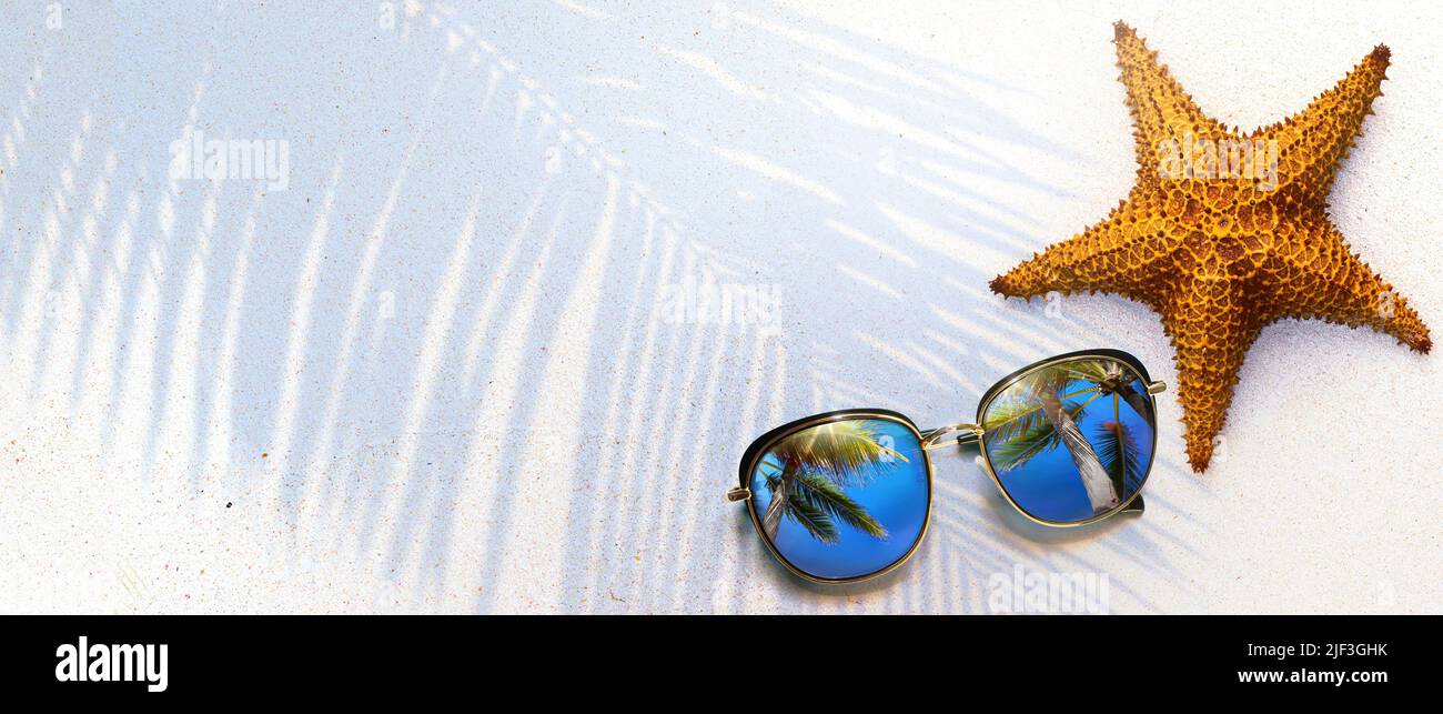 Abstract sunny tropical sandy beach summer background, starfish shell ...