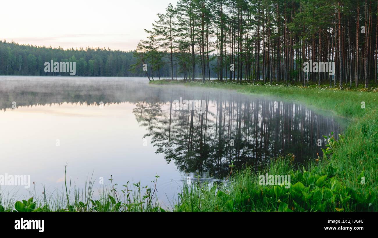 happy summer morning landscape by the lake, tree reflections in calm ...
