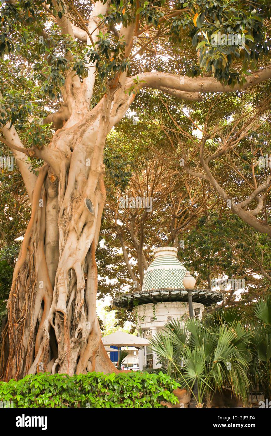 Alicante, Spain- June 26, 2022: Famous Gabriel Miro Square plenty of ...