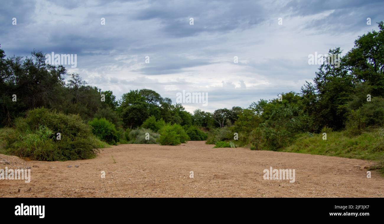 A dry riverbed in Africa Stock Photo - Alamy