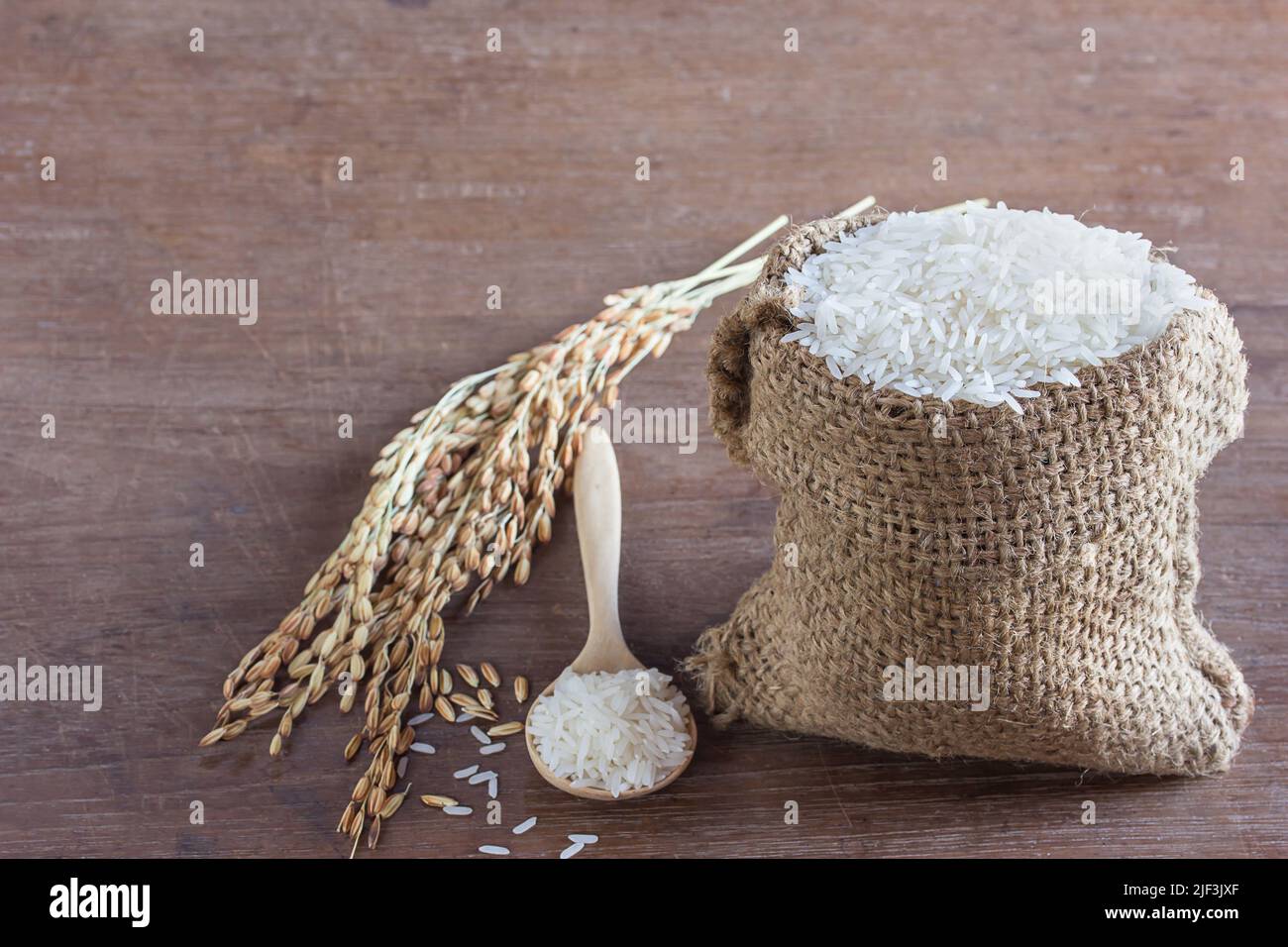 Jasmine rice in sack and paddy rice on old wooden table background with ...