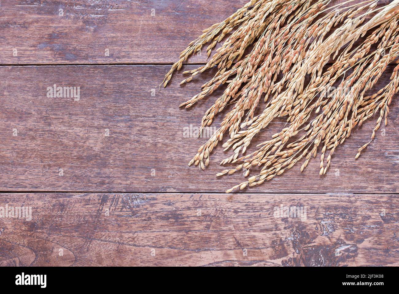 Close up wheat or paddy rice on wooden table with copy space Stock ...