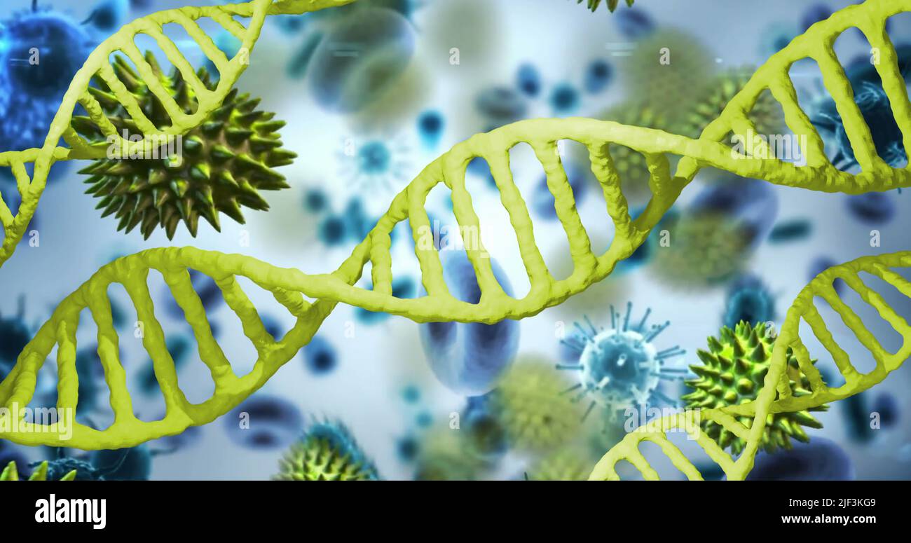 Image of dna strands and virus cells on white background Stock Photo ...