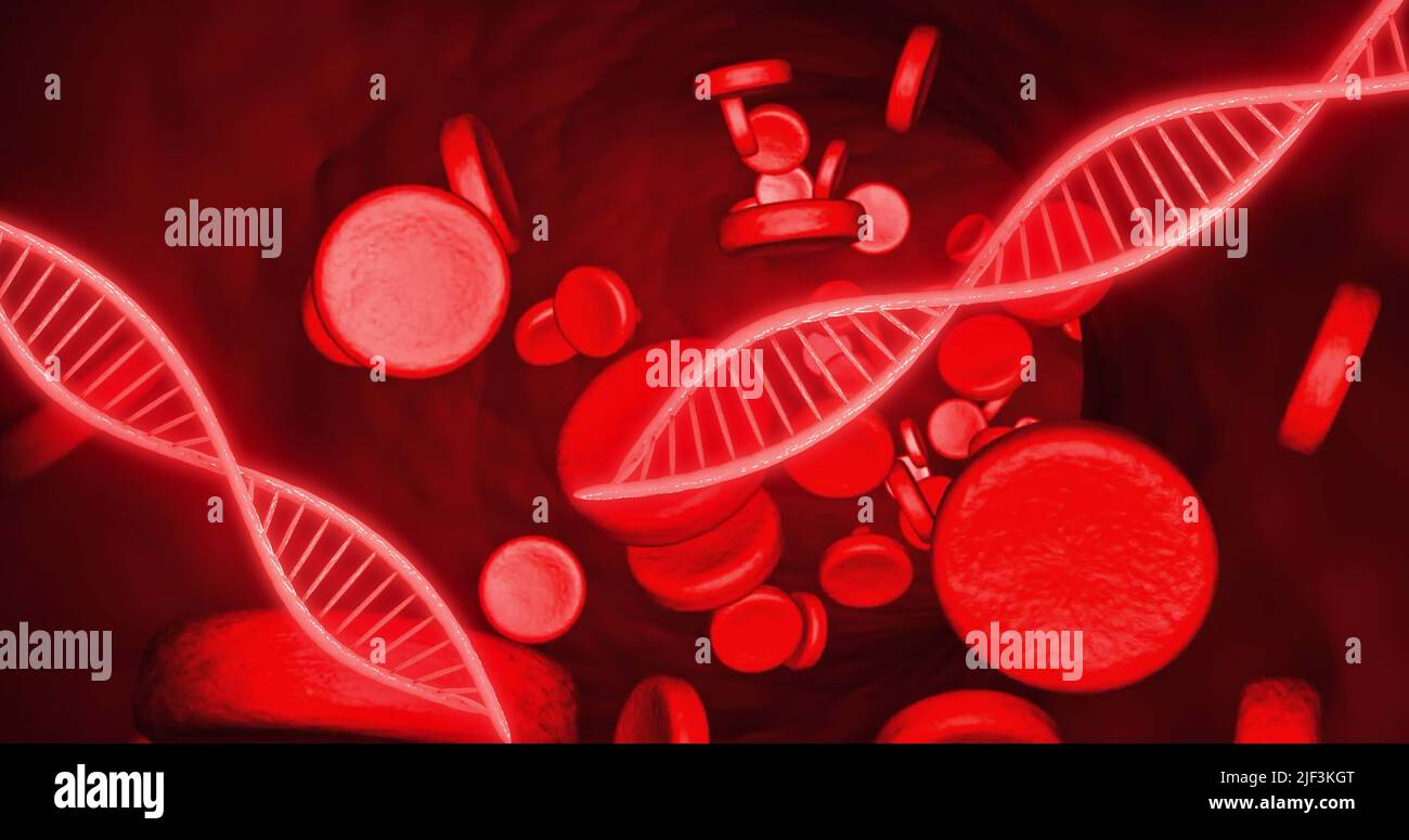 Image of dna strands and blood cells on red background Stock Photo - Alamy