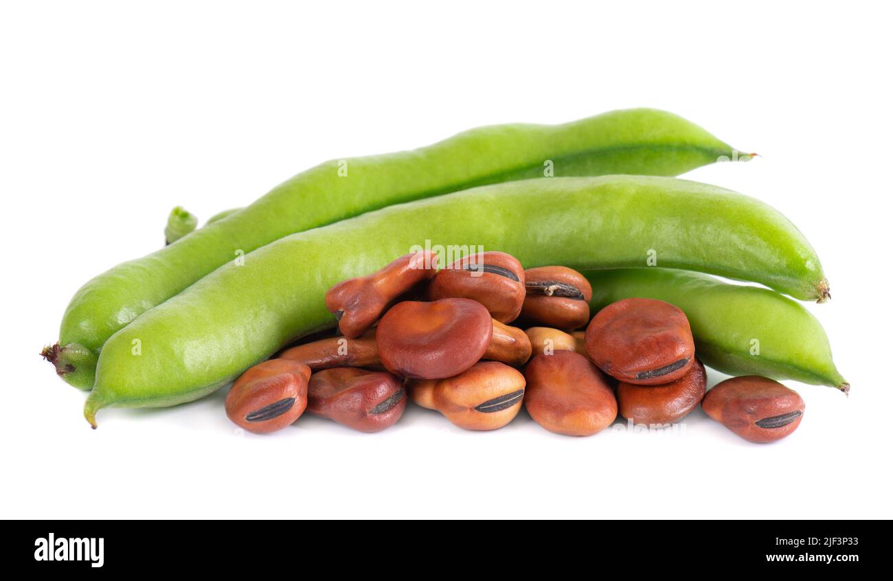 Fresh broad beans in pods, isolated on white background. Dry fava beans ...
