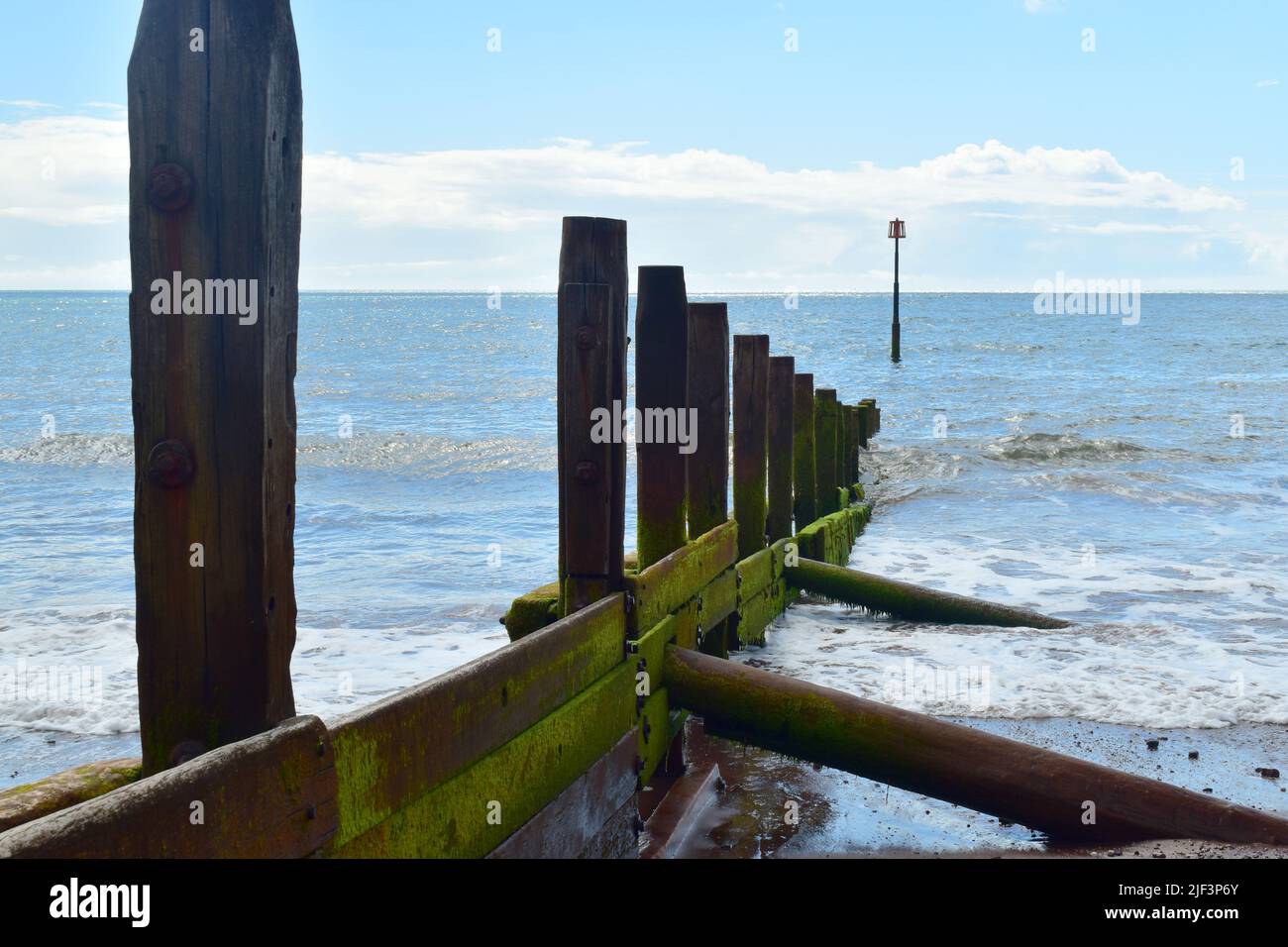 The Groynes on Teignmouth Beach Stock Photo - Alamy
