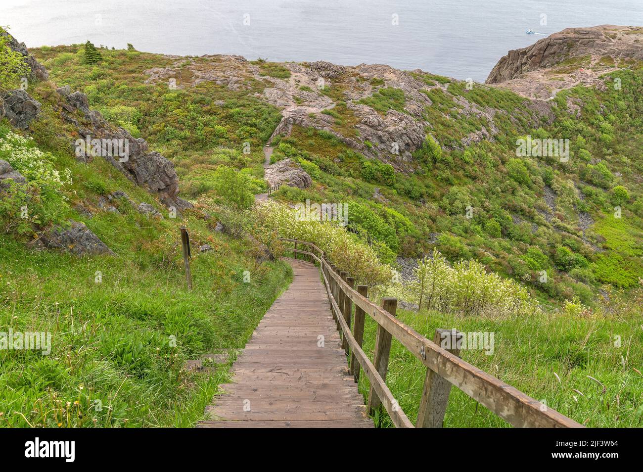 A long staircase on the North Head Trail at Signal Hill Stock Photo - Alamy