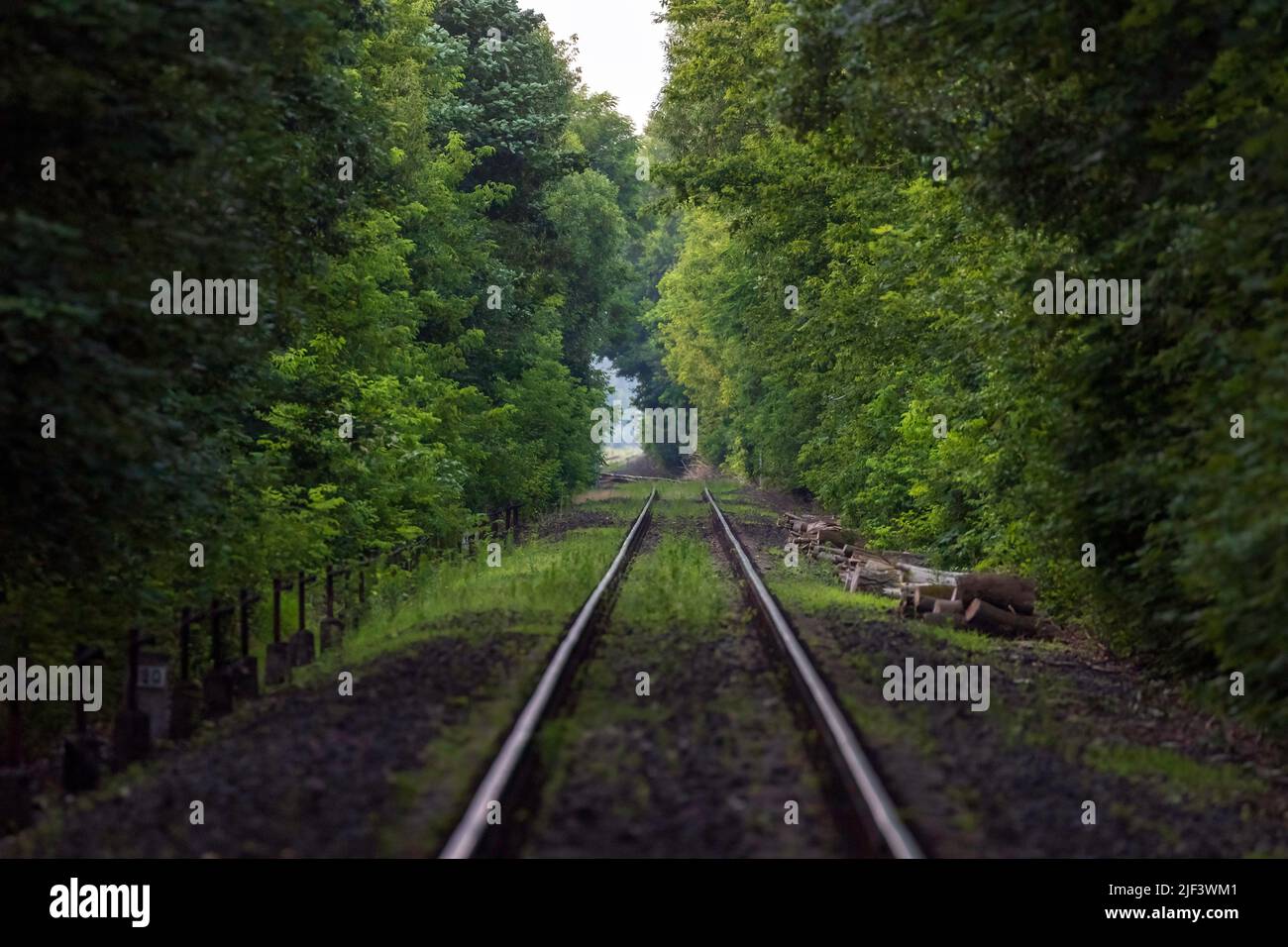 Rail way and green infrastructure Stock Photo - Alamy