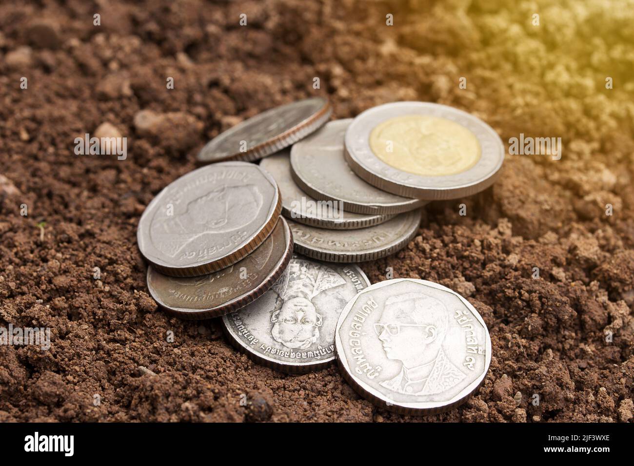 Coin on the ground with sunlight and space for design. Money and ...