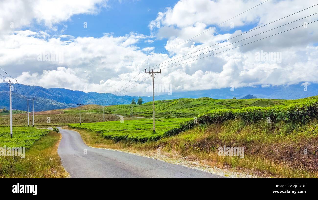 Winding rural road in the middle of green hilly farm fields, power ...