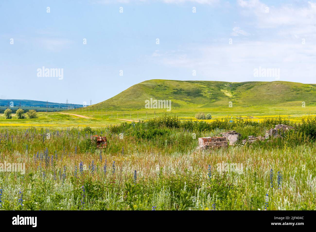 Rustic summer landscape with green agricultural meadows, a hill and a ...