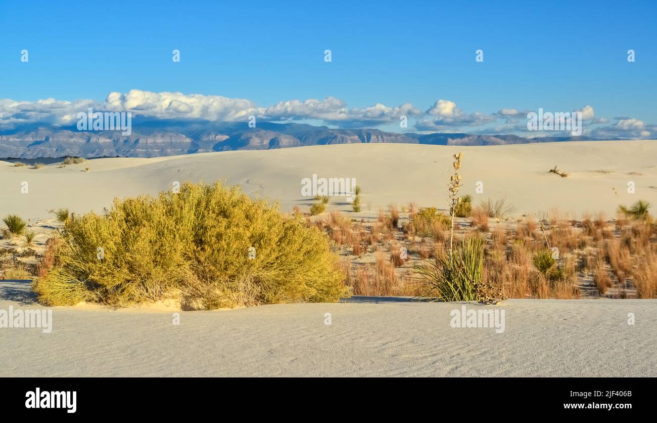Desert landscape of gypsum dunes in White Sands National Monument in ...