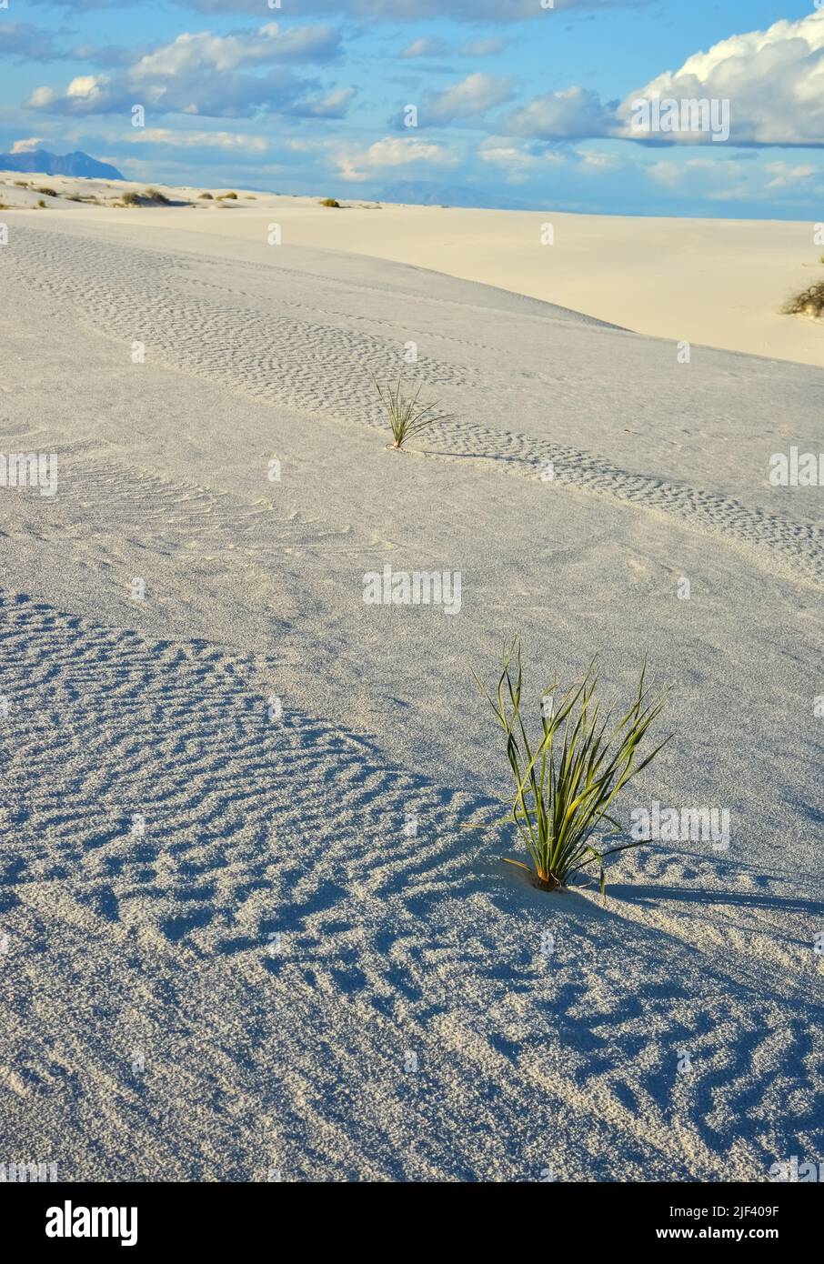 Gypsum sand dunes, White Sands National Monument, New Mexico, USA Stock ...