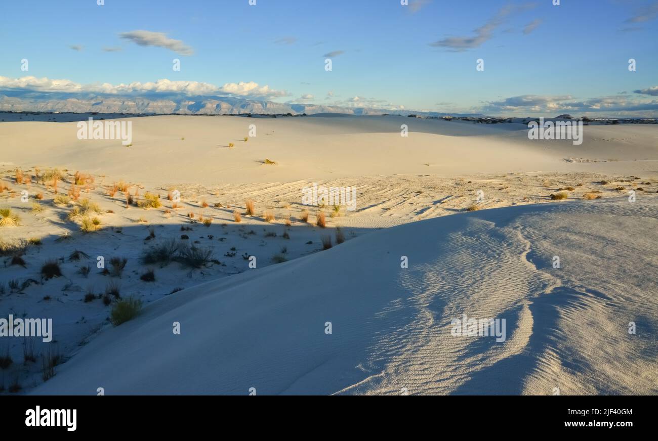 Desert landscape of gypsum dunes in White Sands National Monument in ...