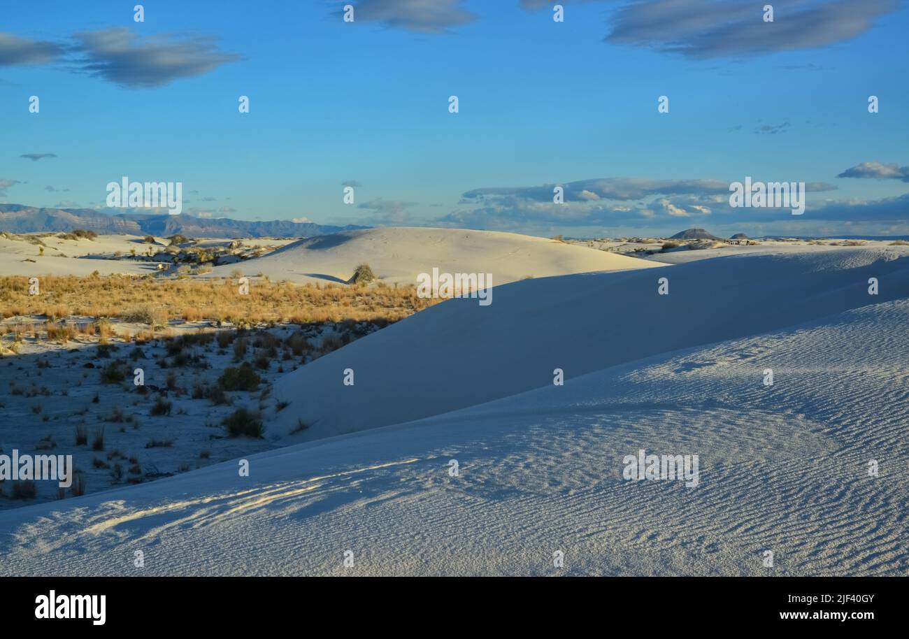 Desert landscape of gypsum dunes in White Sands National Monument in ...