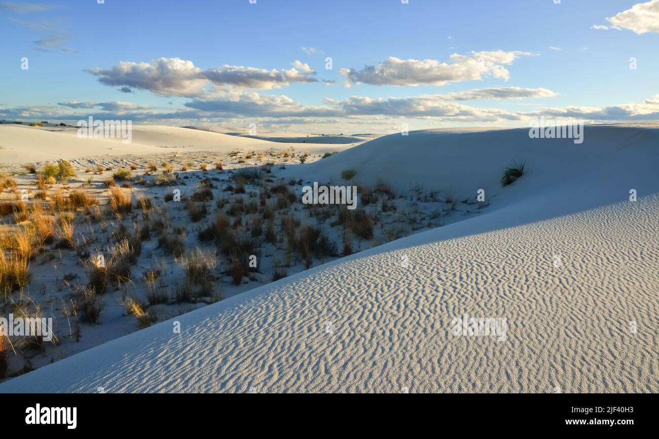 Desert landscape of gypsum dunes in White Sands National Monument in ...