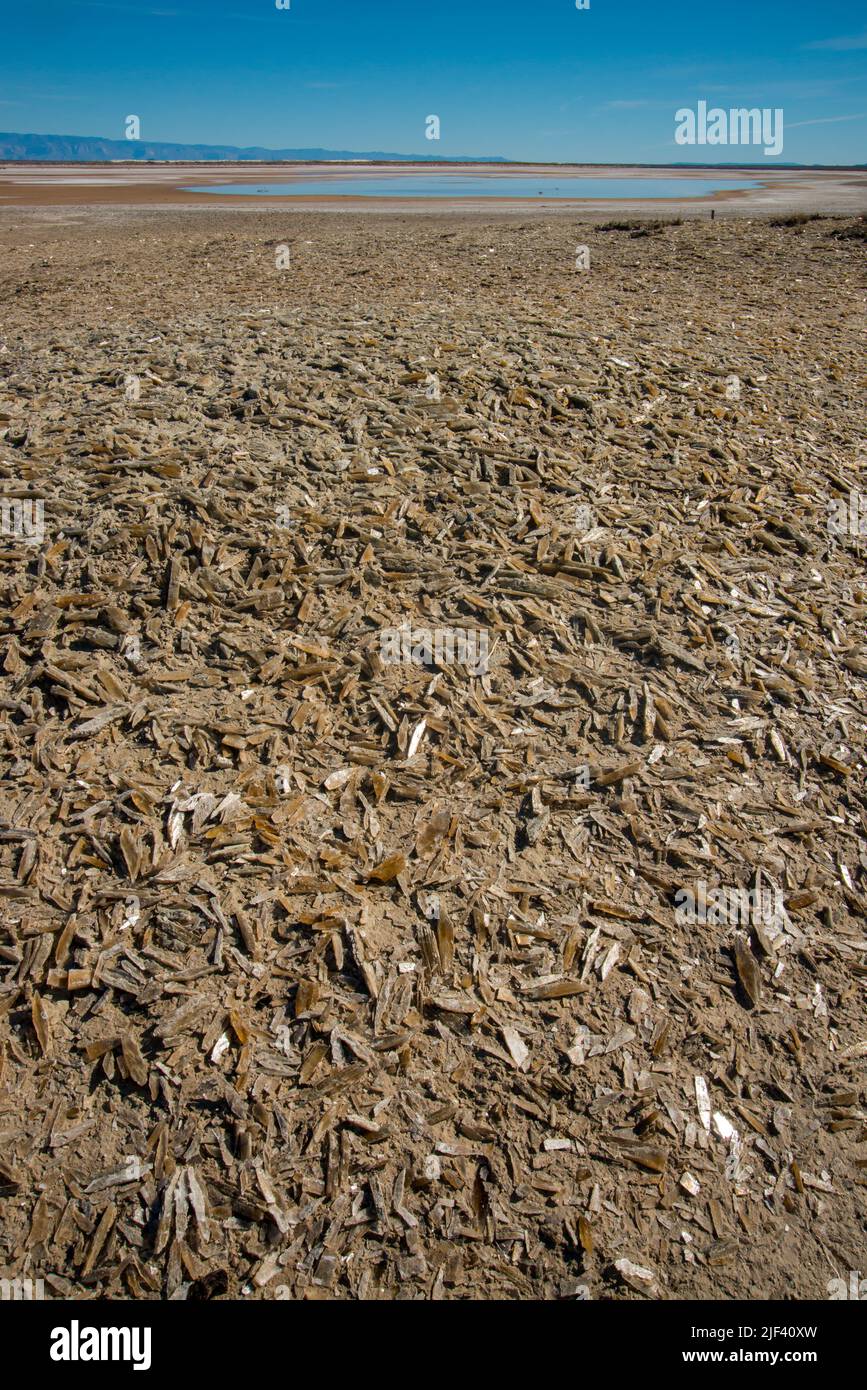 Desert landscape in New Mexico, gypsum crystals at the bottom of a ...