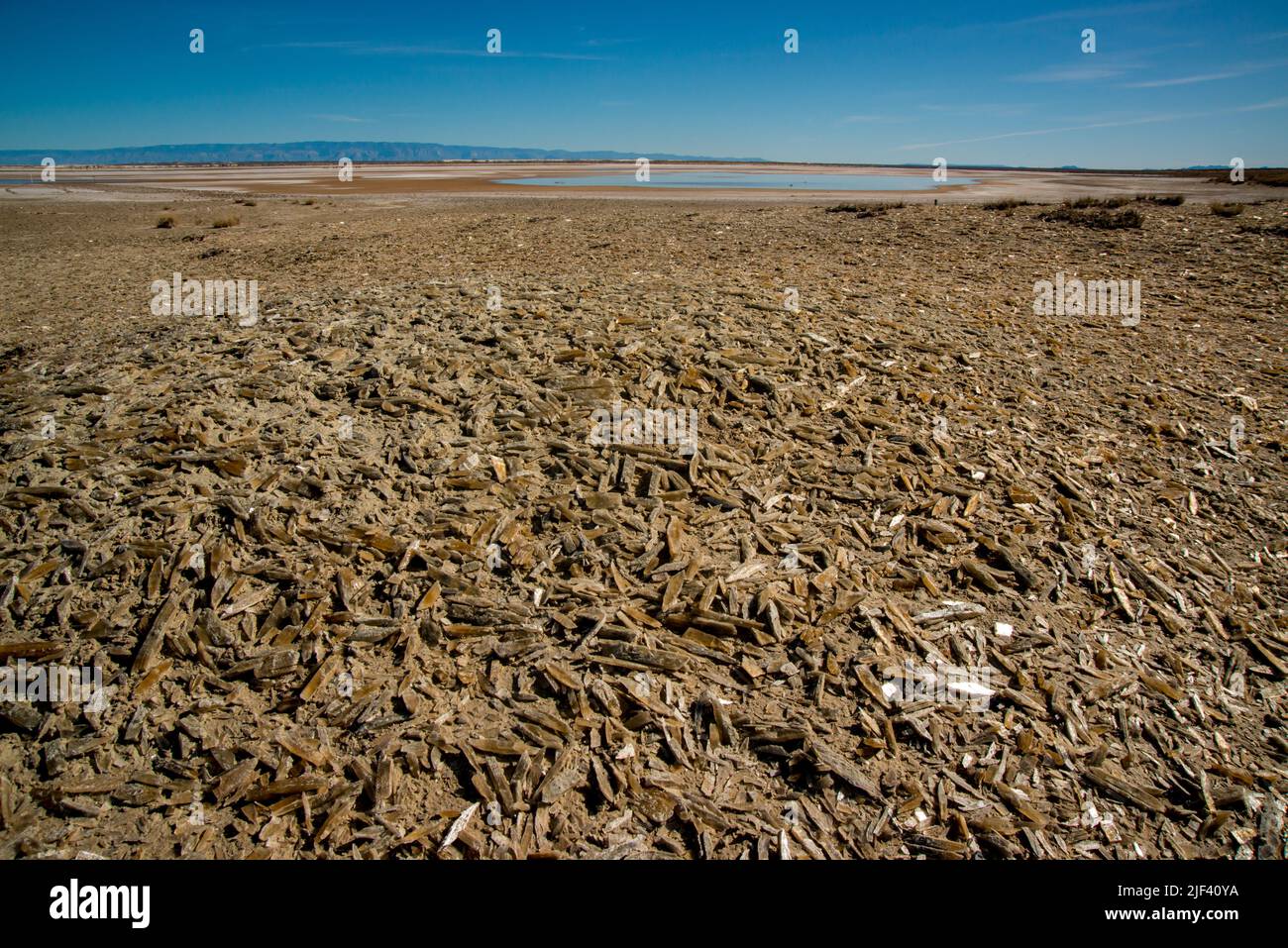 Desert landscape in New Mexico, gypsum crystals at the bottom of a ...