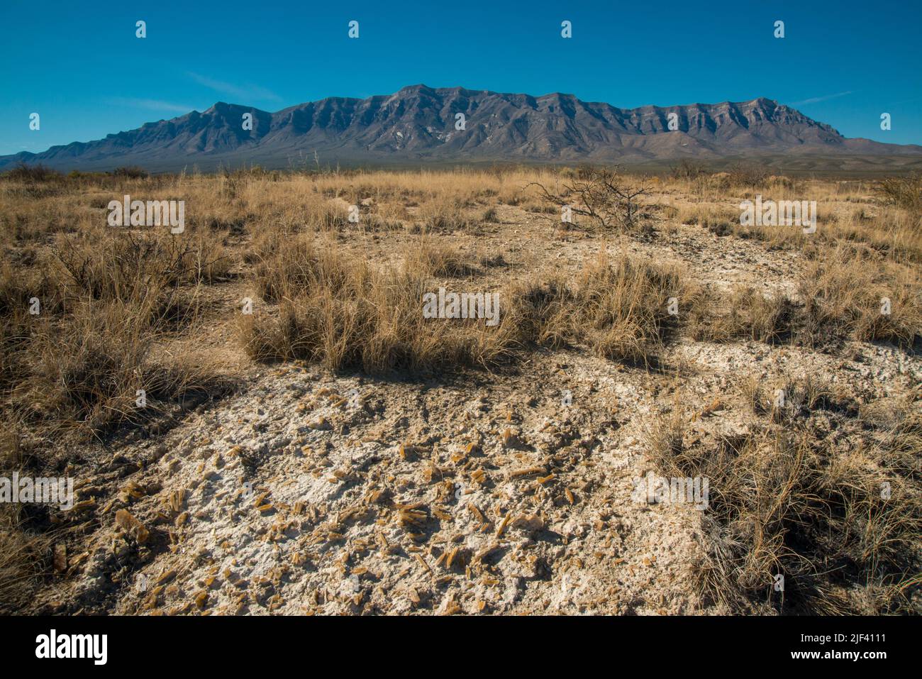 Desert landscape in New Mexico, gypsum crystals at the bottom of a ...