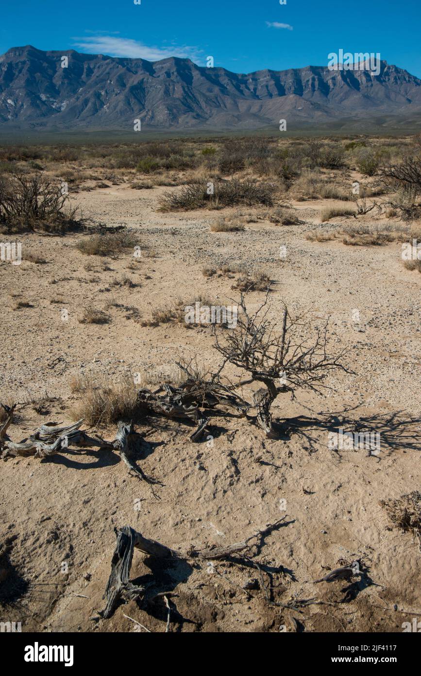 Lake lucero white sands national park hi-res stock photography and ...