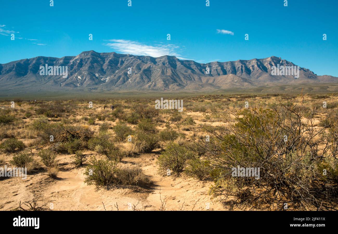 New Mexico desert landscape, high mountains in the background of the ...