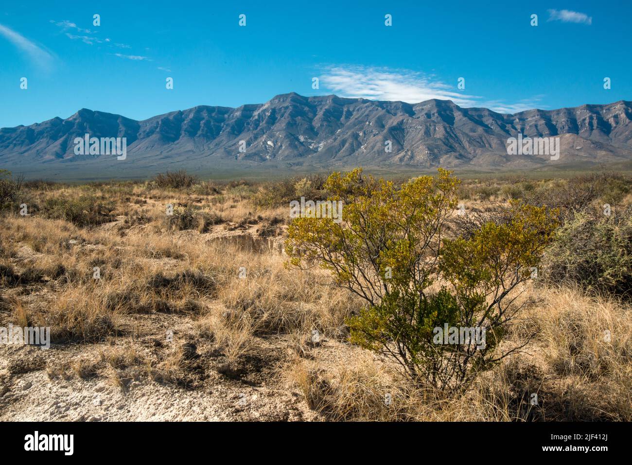 New Mexico desert landscape, high mountains in the background of the ...