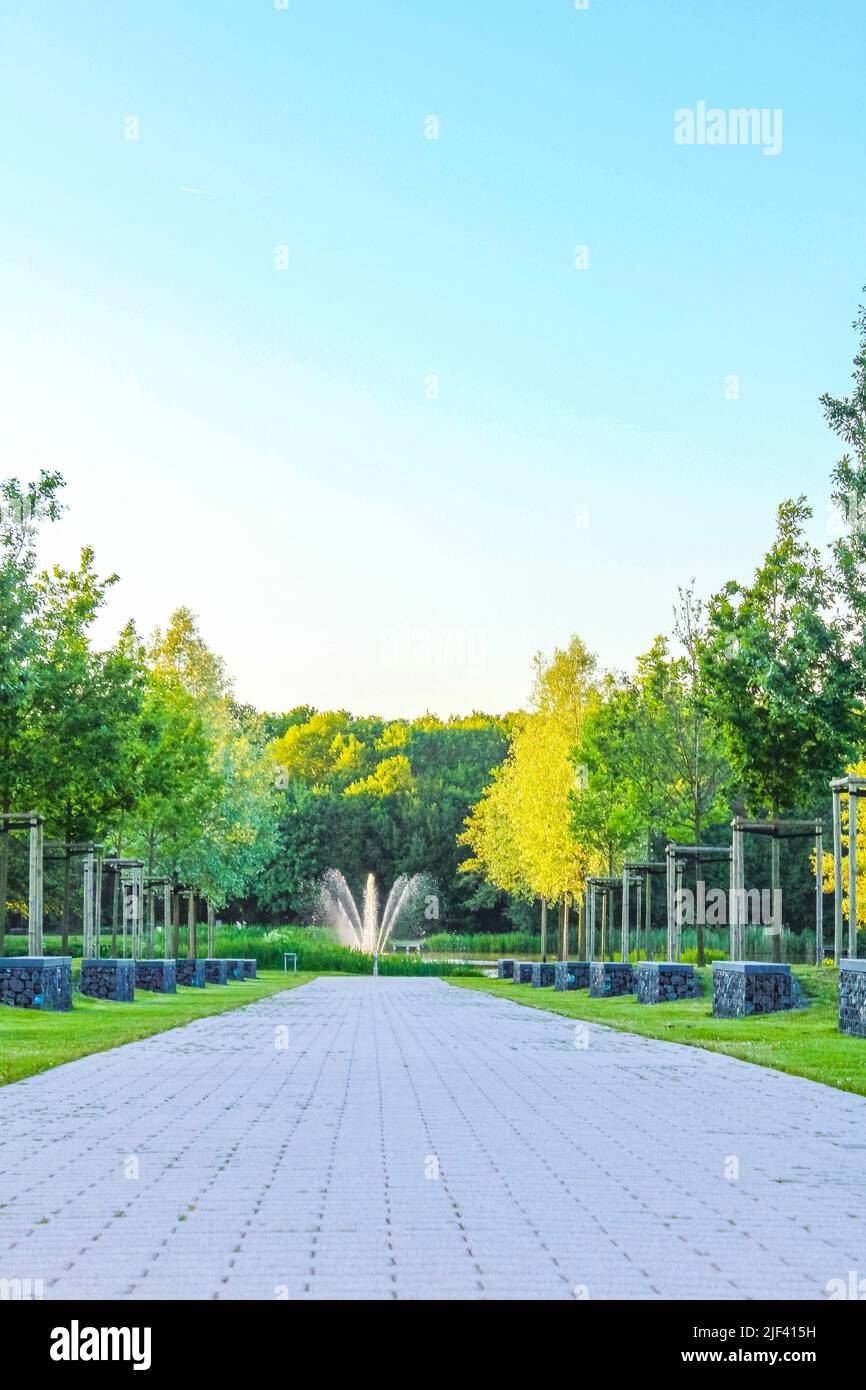 Natural beautiful panorama view with pathway and green plants trees in ...