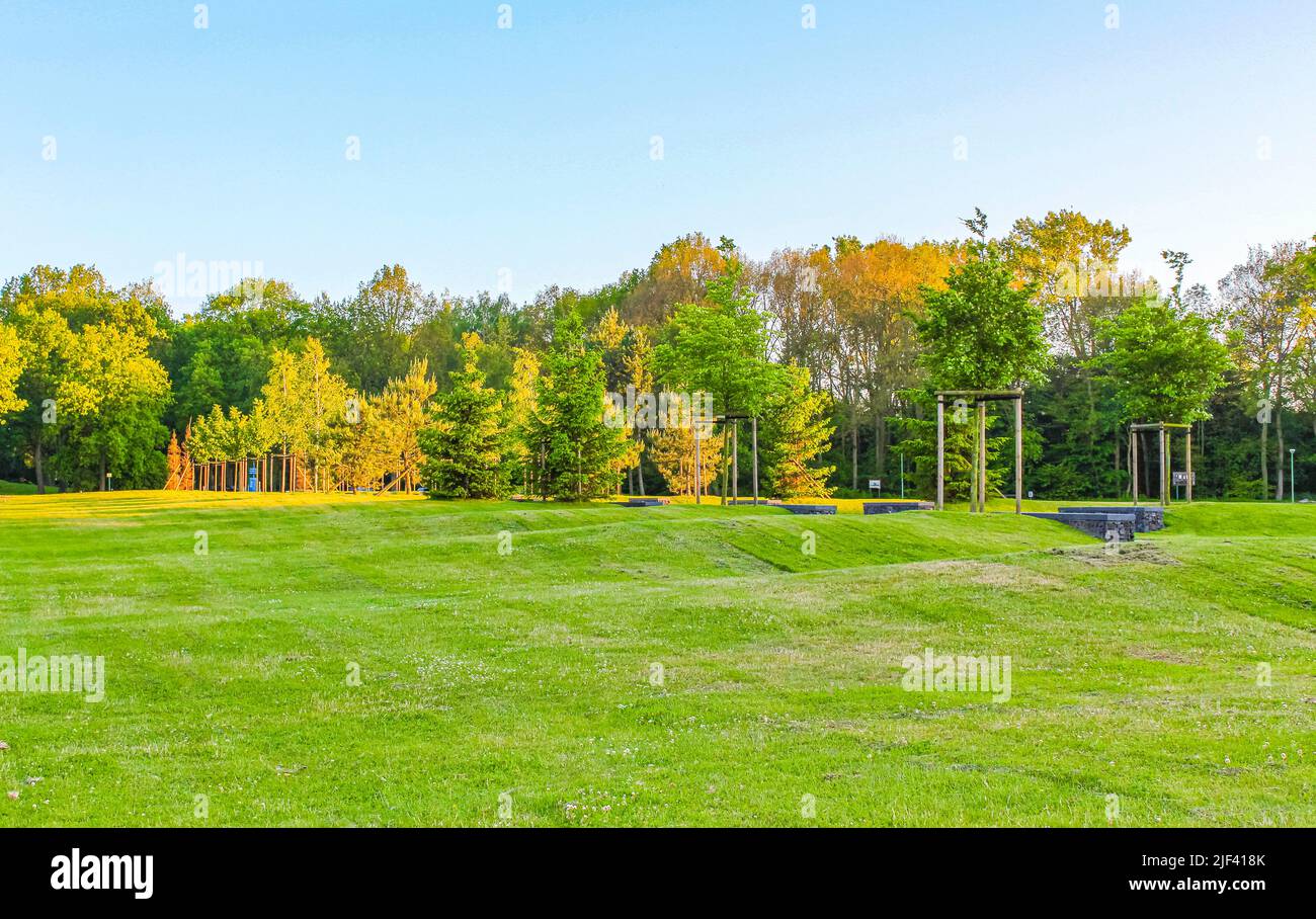 Natural beautiful panorama view with pathway and green plants trees in ...