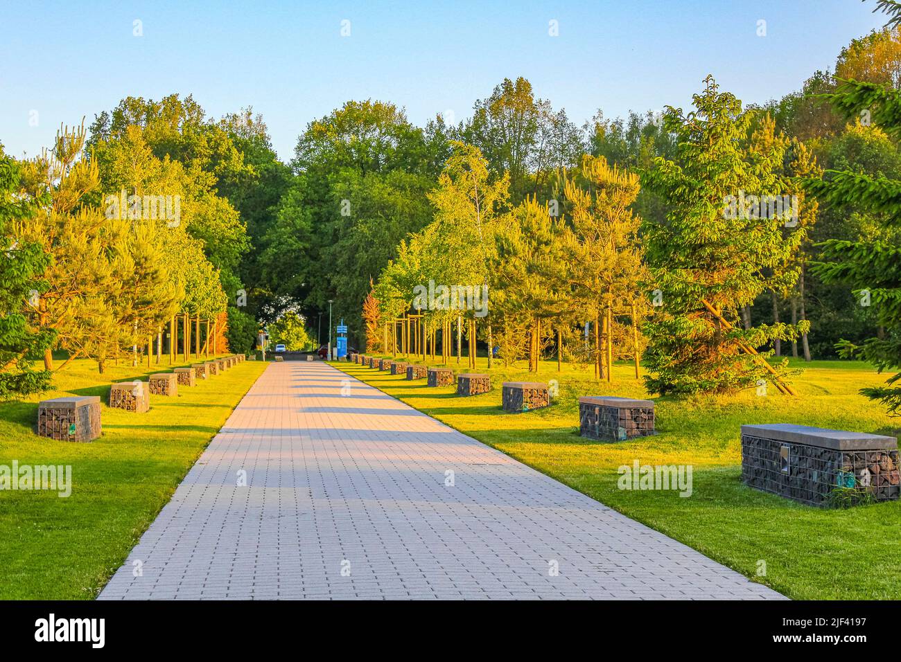 Natural beautiful panorama view with pathway and green plants trees in ...