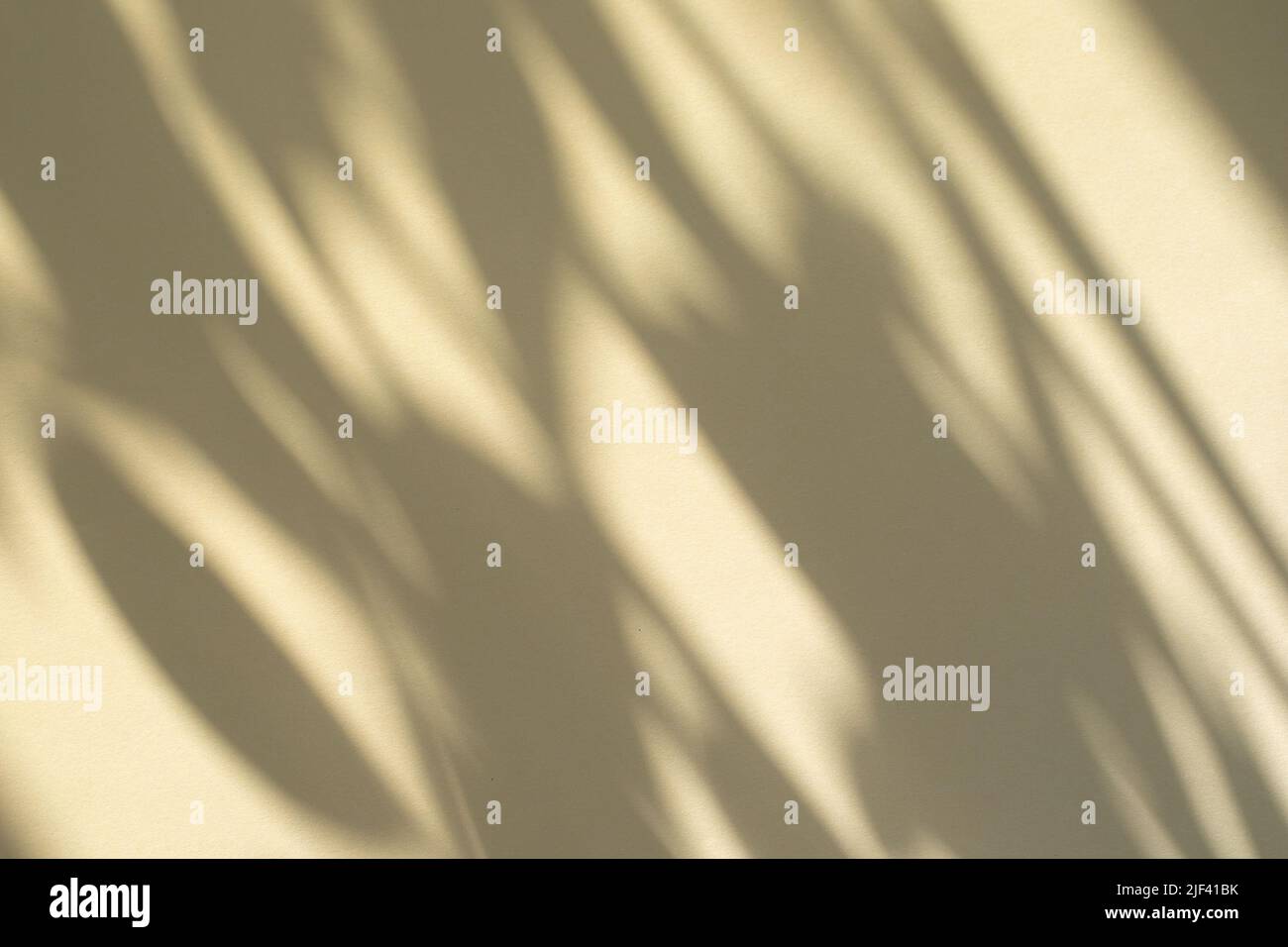 Yellow background with sunlights shadow Stock Photo - Alamy