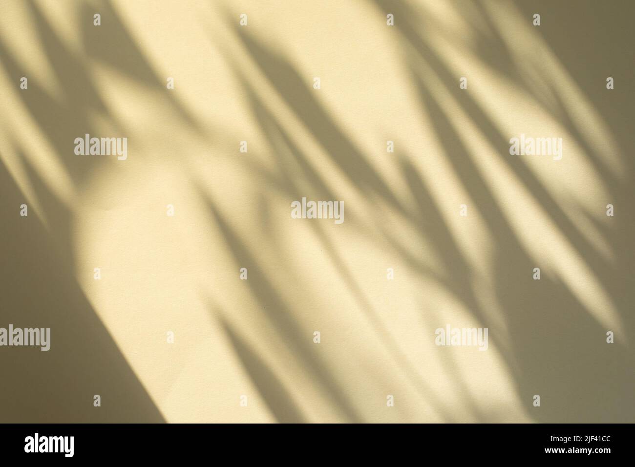 Yellow background with sunlights shadow Stock Photo - Alamy