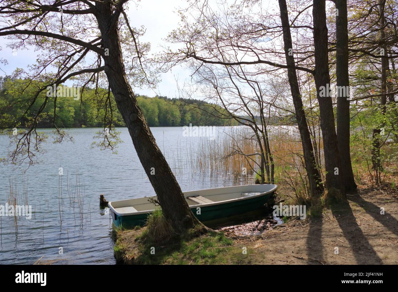 Wandlitz lake hi-res stock photography and images - Alamy