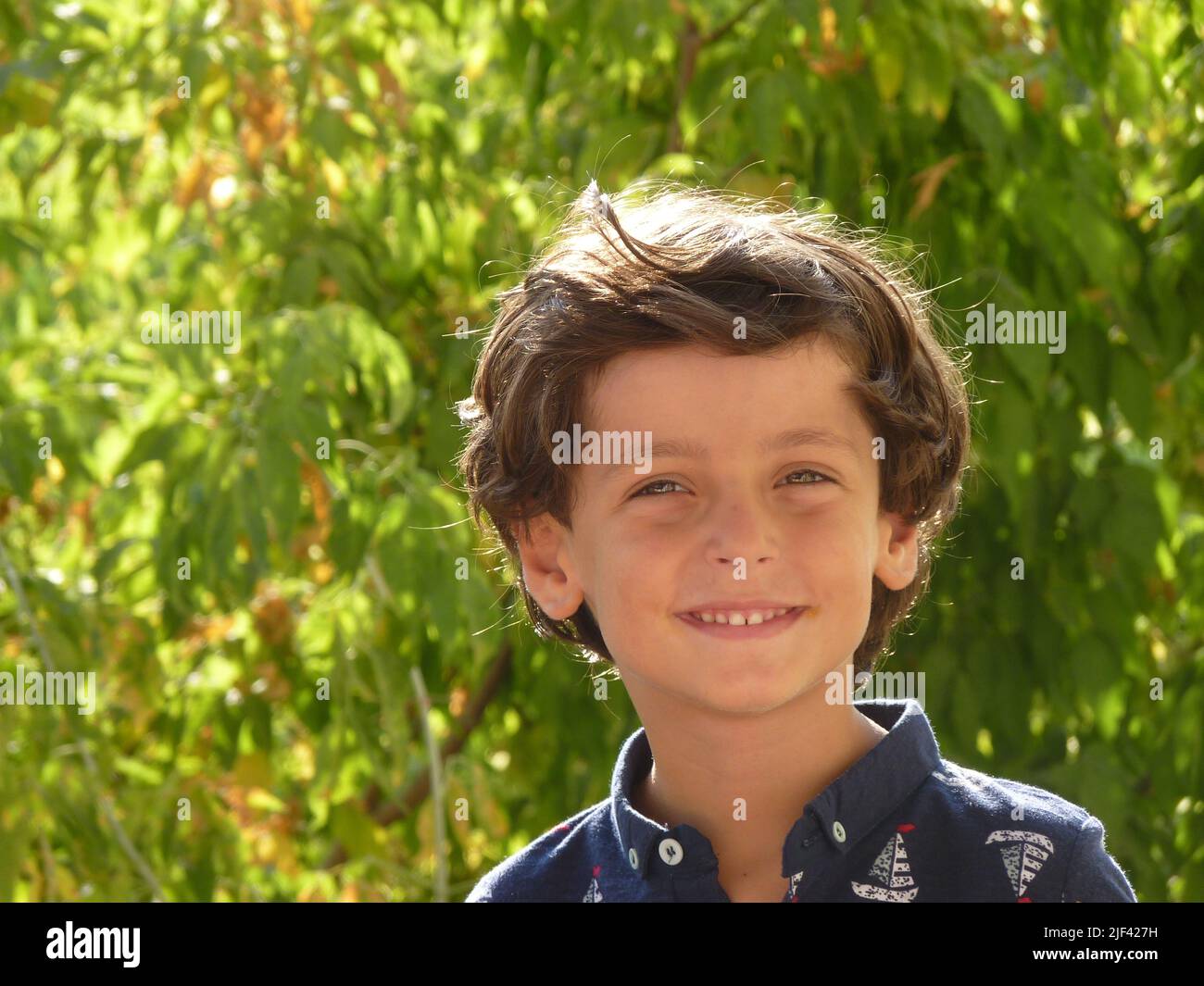 Boy playing under the tree. Beautiful portrait of a child. Boy portrait ...
