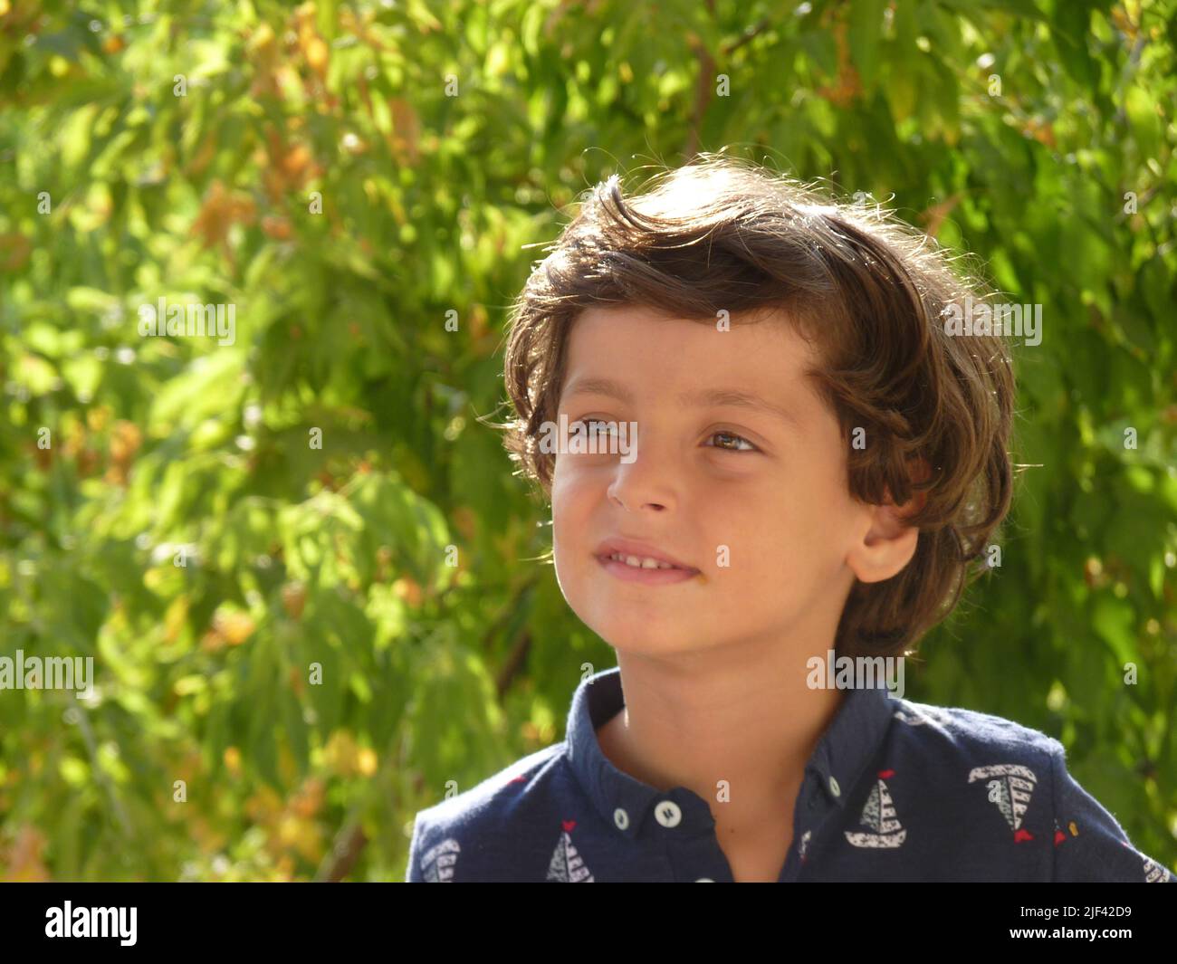 Boy playing under the tree. Beautiful portrait of a child. Boy portrait ...