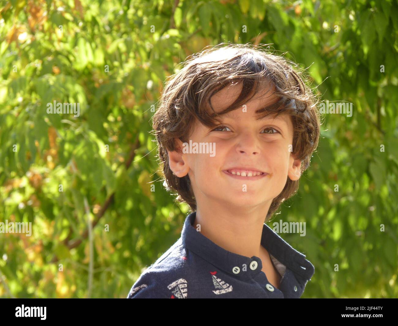 Boy playing under the tree. Beautiful portrait of a child. Boy portrait ...