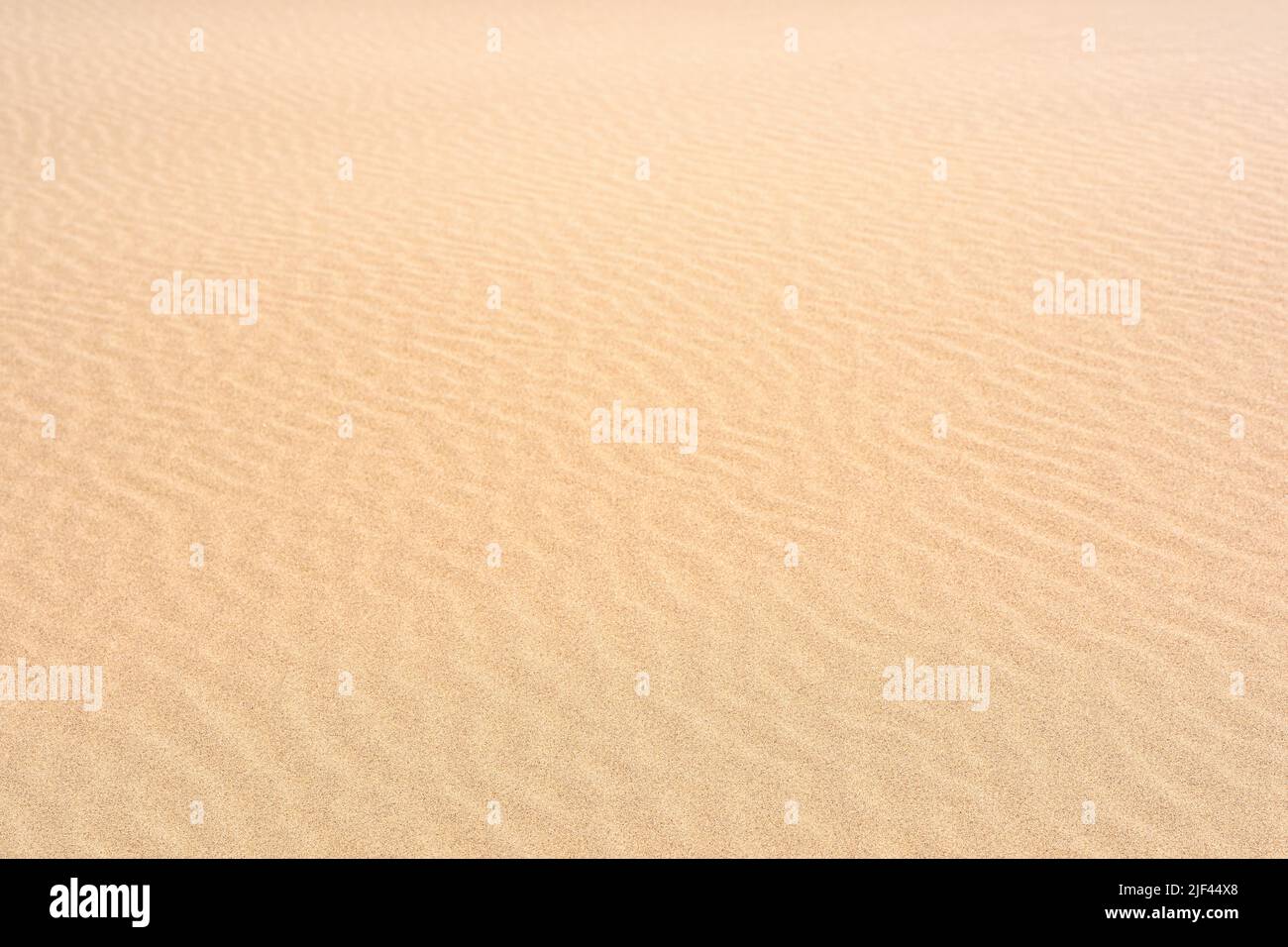 wind ripples on the sandy surface in the desert Stock Photo - Alamy
