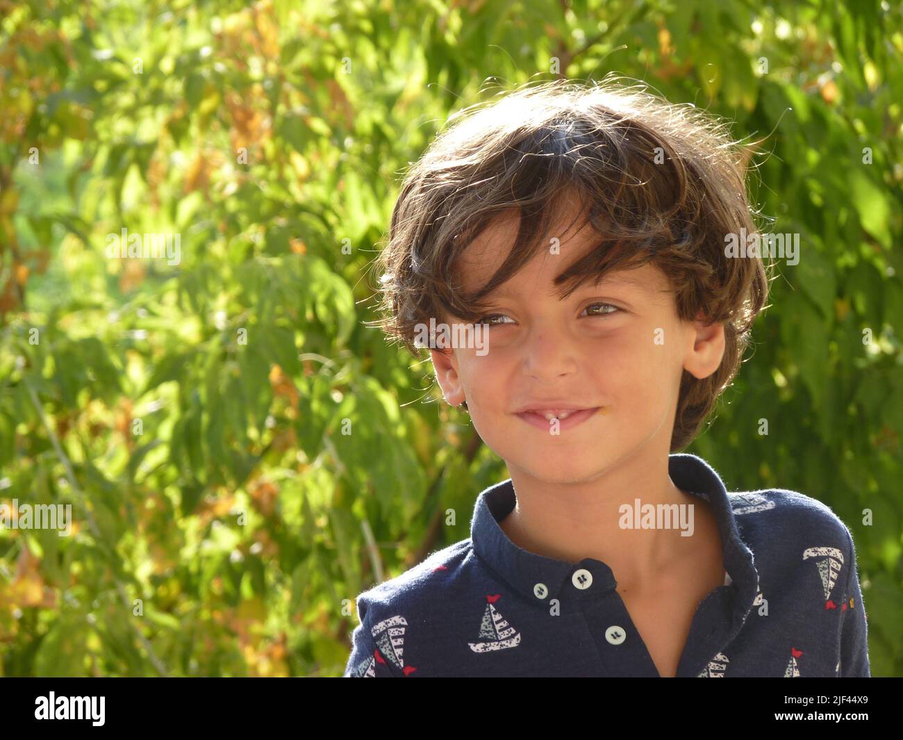 Boy playing under the tree. Beautiful portrait of a child. Boy portrait ...