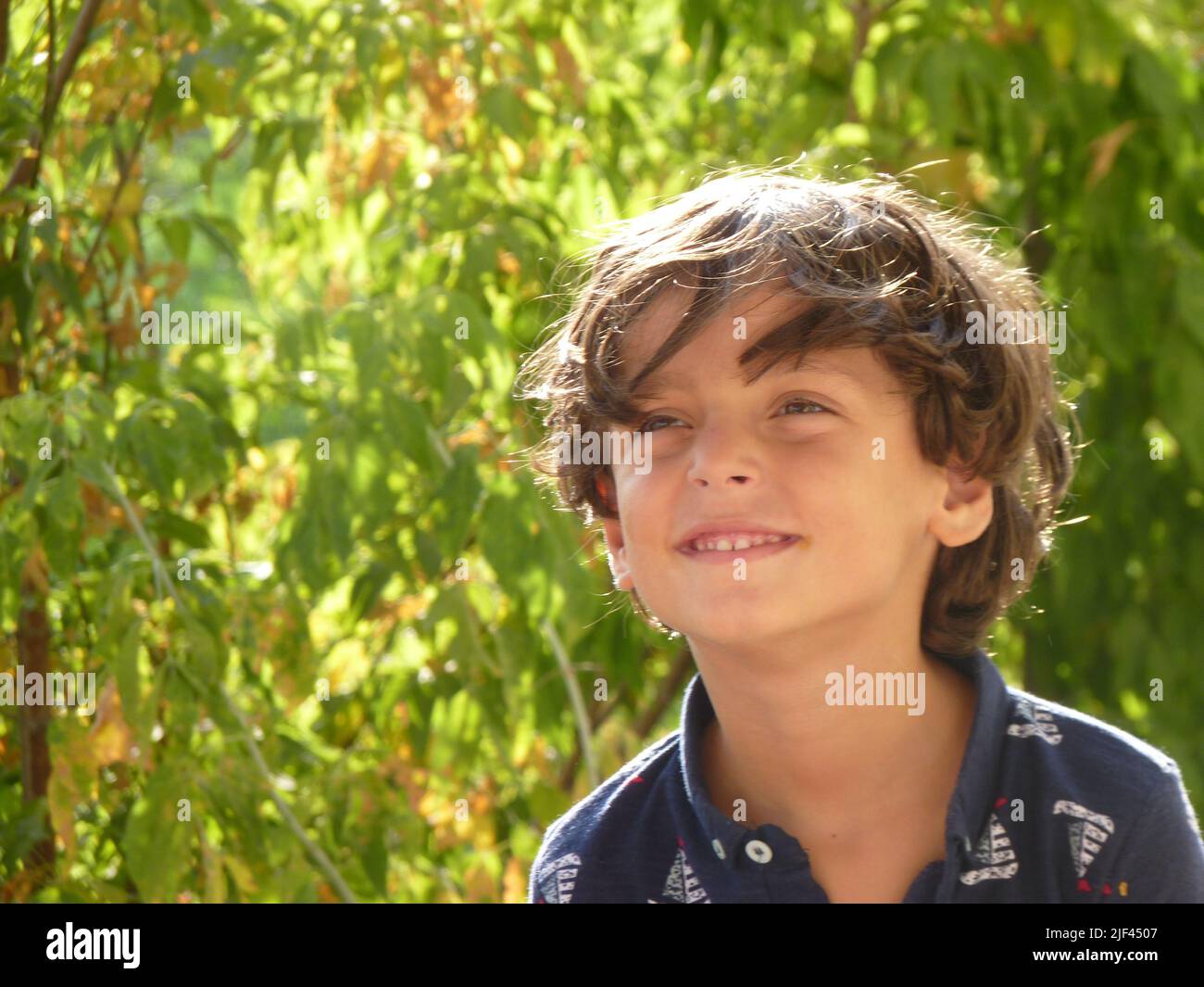 Boy playing under the tree. Beautiful portrait of a child. Boy portrait ...