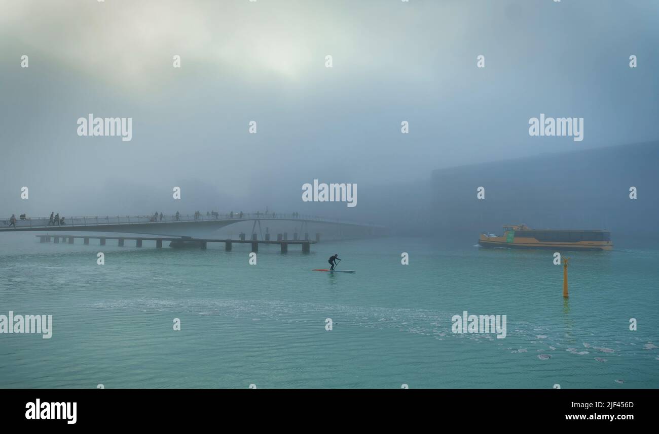 The view of the bridge covered in mist with a man on a surfboard and ...