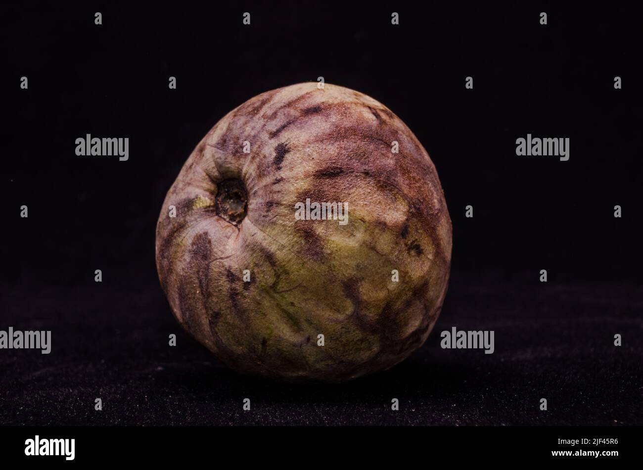 Fresh Green and Brown Ripe Cherimoya Tropical Fruit Stock Photo - Alamy