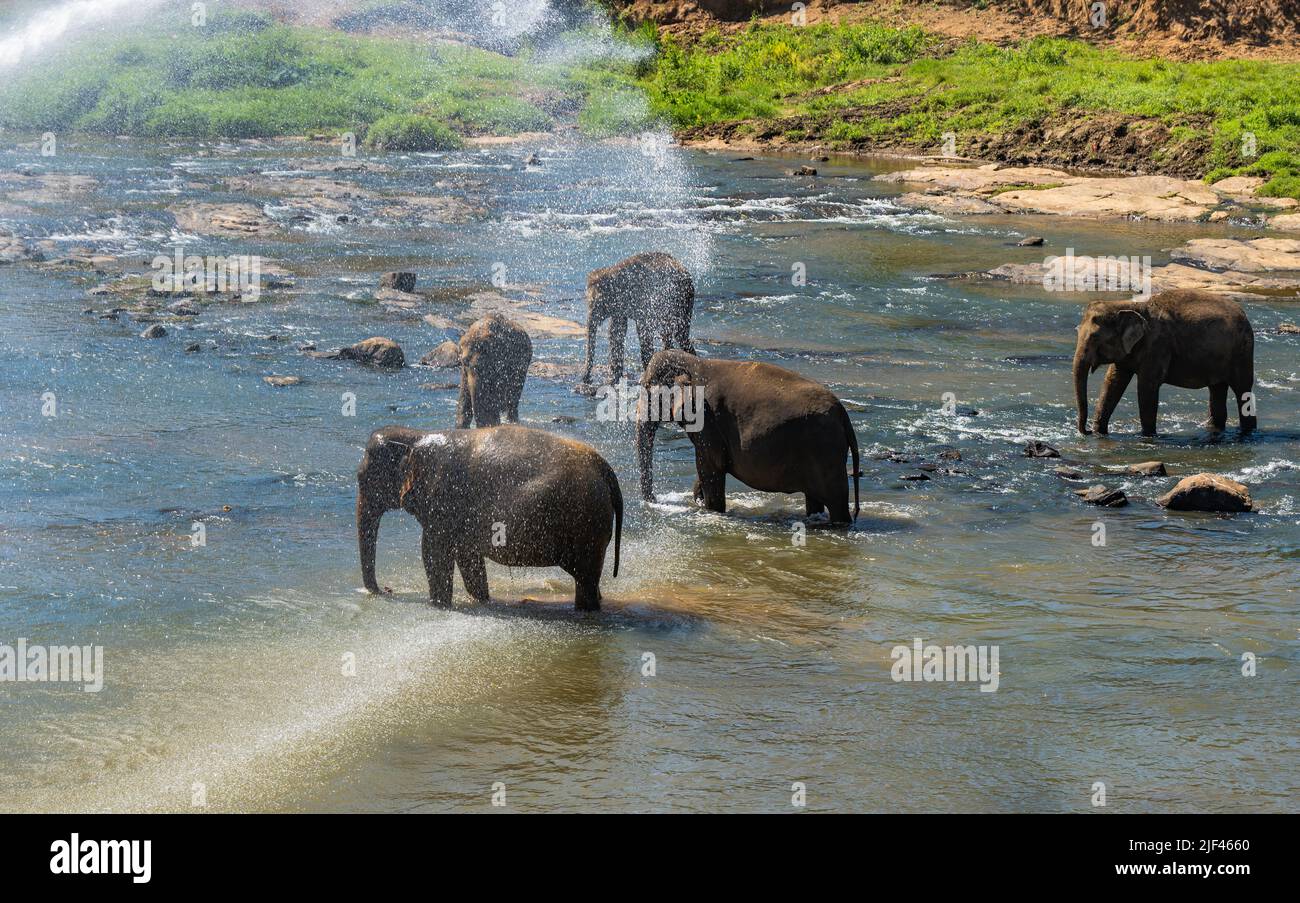 Ma oya hi-res stock photography and images - Alamy