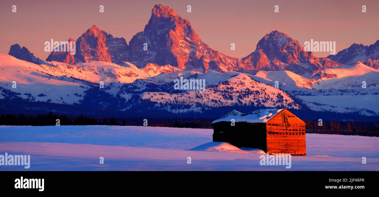 Teton Mountains Sunset Light Grand Tetons in winter with old cabin ...