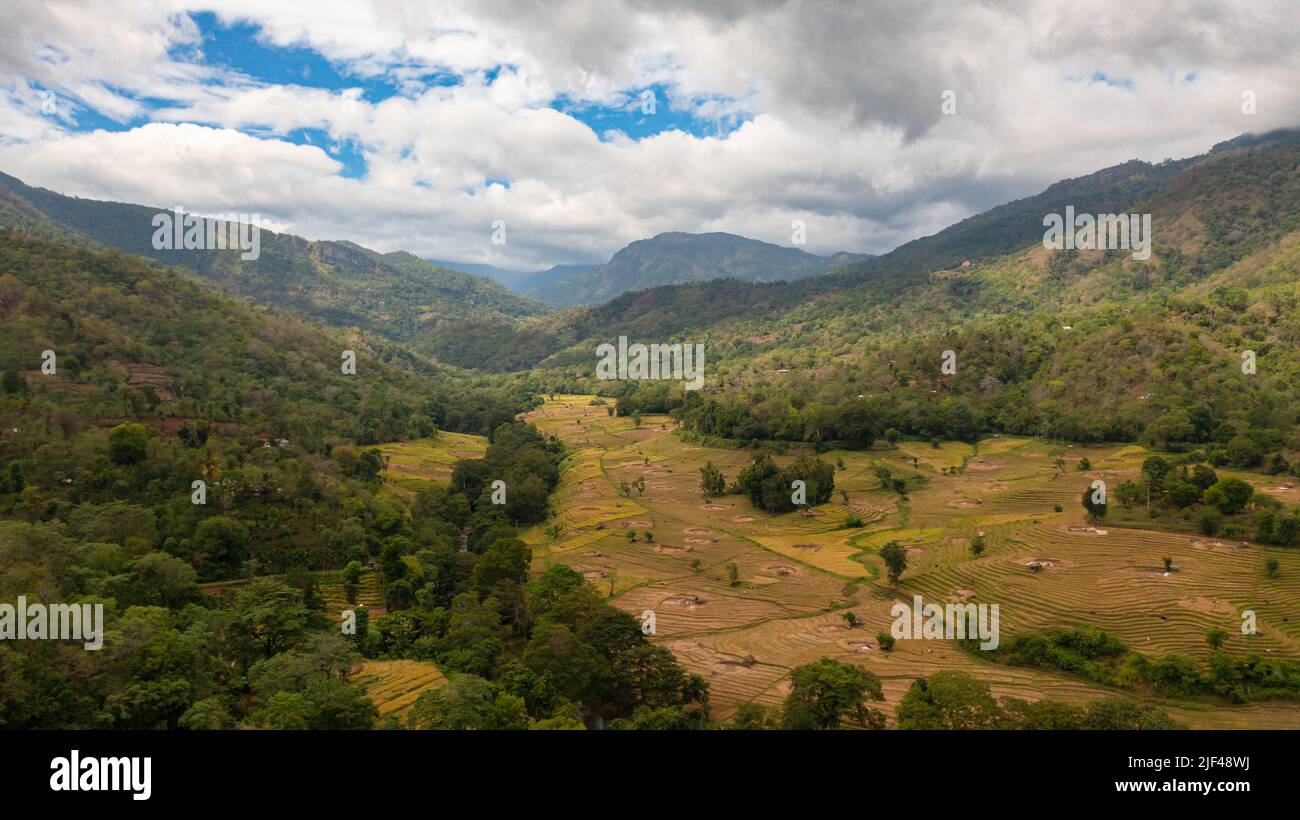 Rice terraces sri lanka hi-res stock photography and images - Alamy
