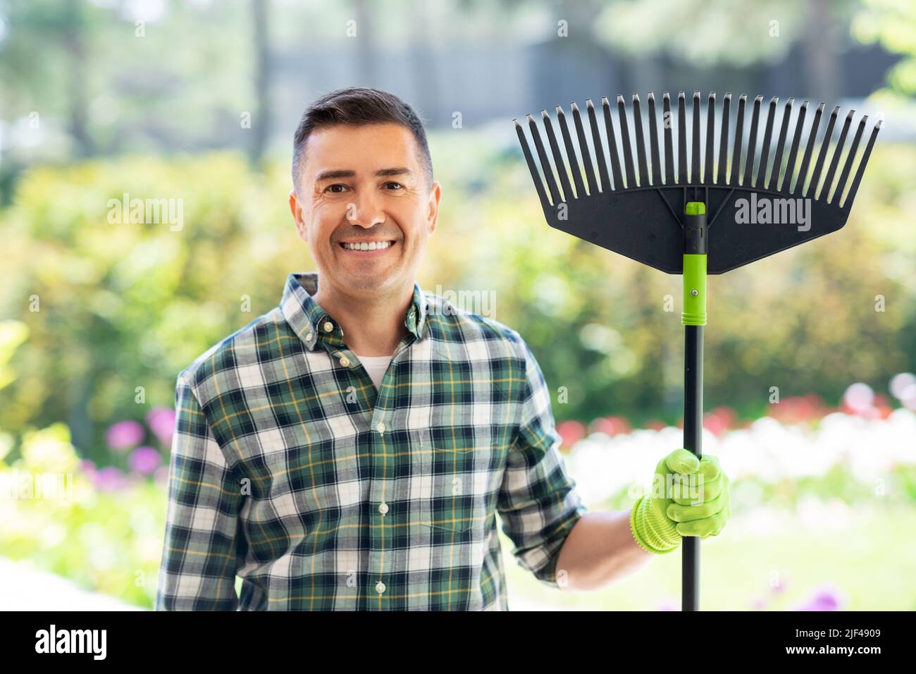 happy middle-aged man with leaf rake at garden Stock Photo - Alamy